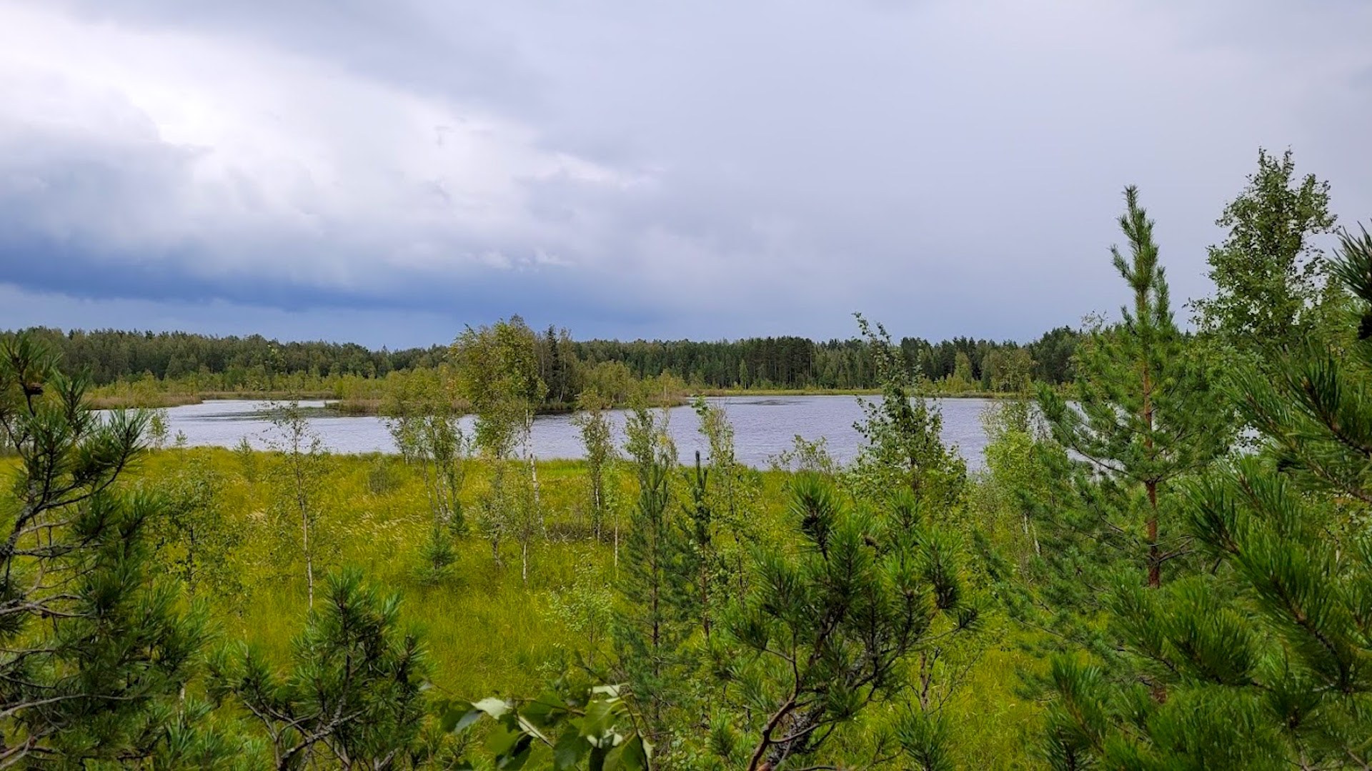 Pohjanlampi – Lintuyhdistys Kuikka ry